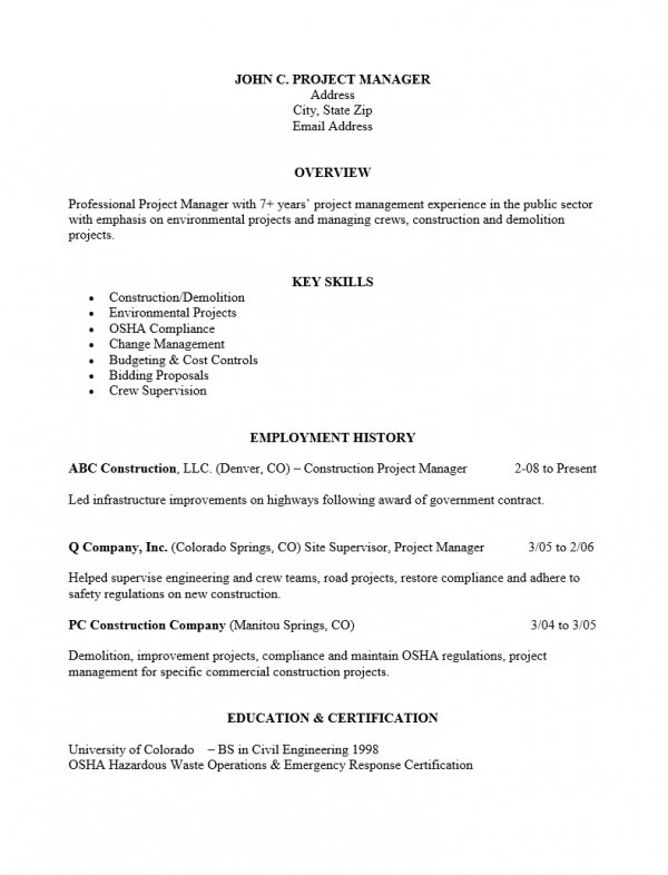 Professional Level Project Manager Resume Template : Resume Templates