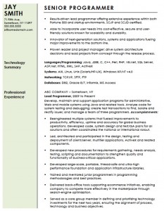 Professional Computer Programmer Resume Template : Resume Templates